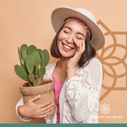 Caliandras | Como Cultivar e cuidar de Caliandras